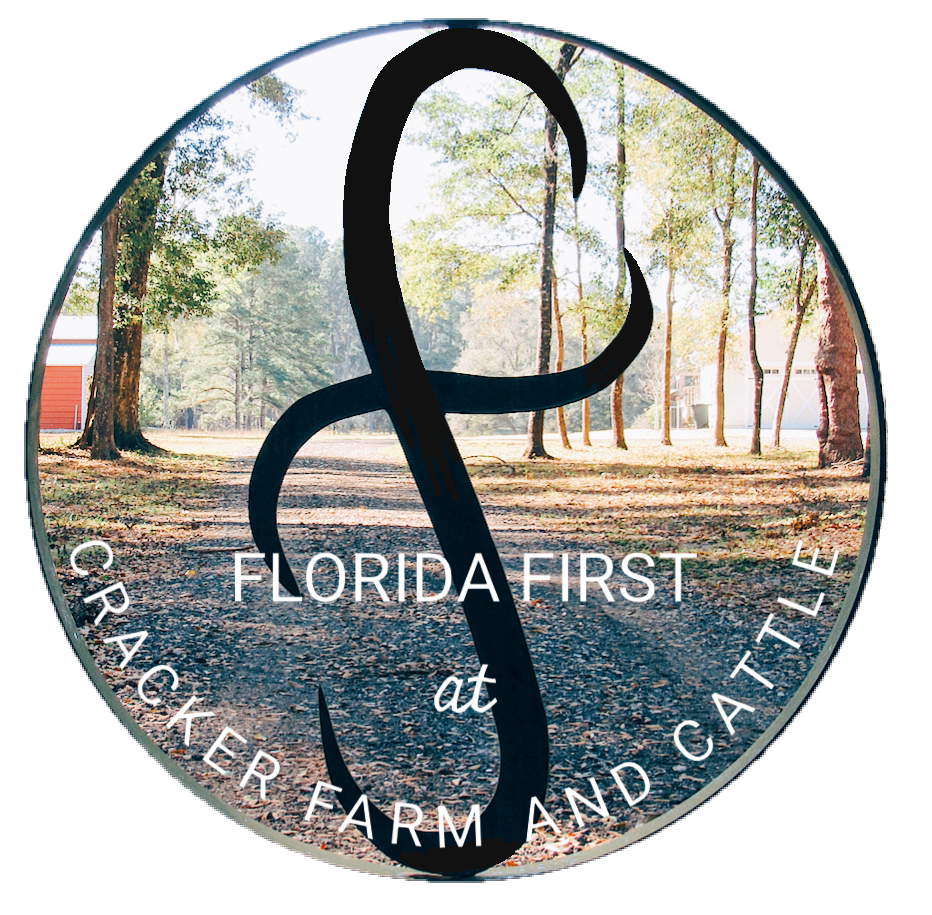 About Our Farm – Florida First Cattle